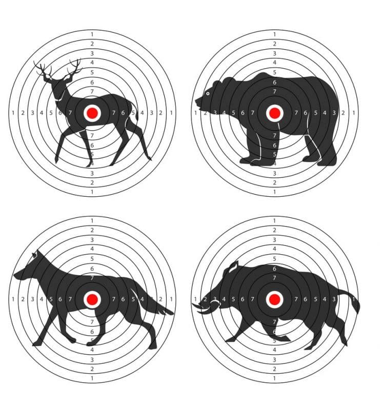 Bow Hunting For The Beginners ( A Complete Guide ) | Best Reflex Sight