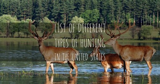 Hunting Beginners Guide And Checklis (A Complete Guide For Every One)