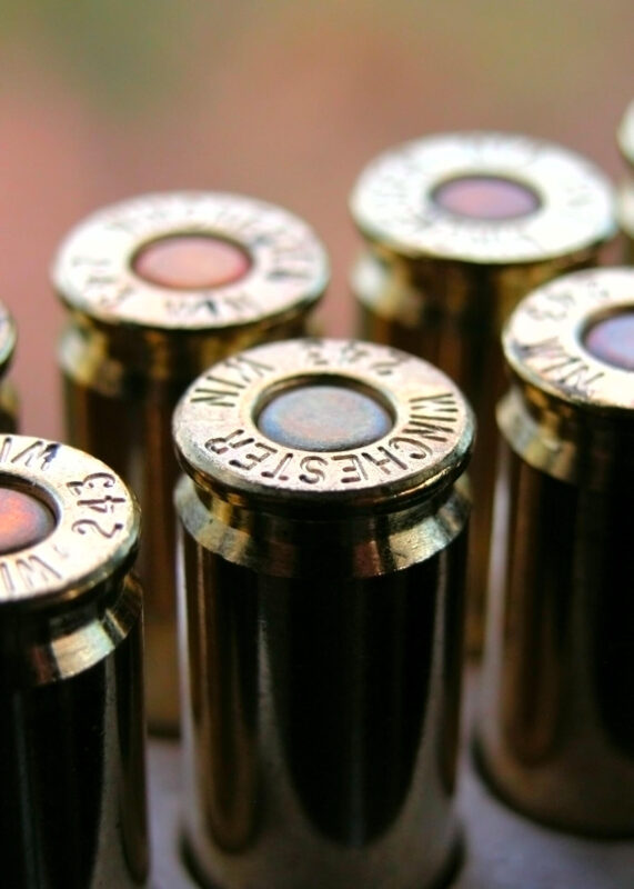 .243 Win. for Long Range Shooting? .243 Winchester Specs